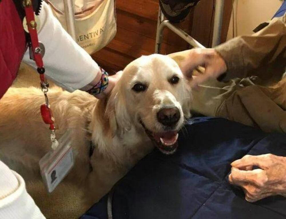 Companionship For Seniors - Alliance of Therapy Dogs Inc.