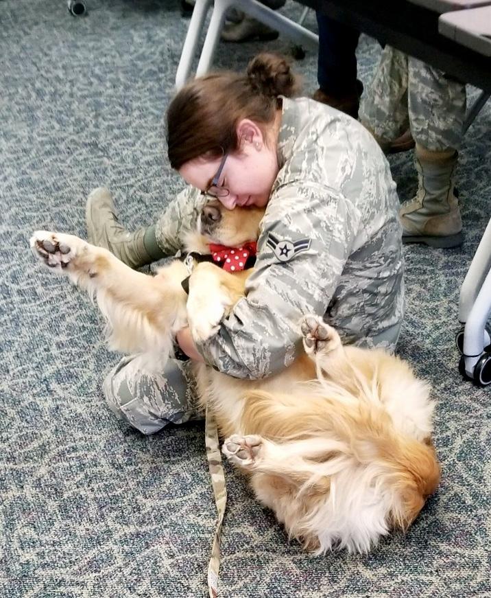 Therapy Dogs On Military Bases - Alliance of Therapy Dogs