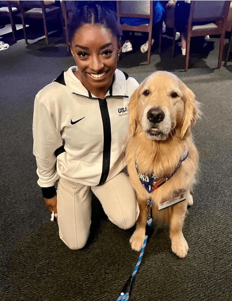 Therapy Dog Support For Athletes - Alliance of Therapy Dogs
