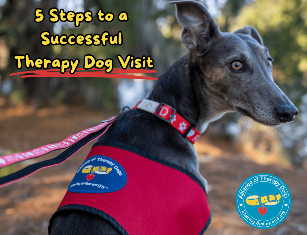 Dog Certification | Certified Therapy Dog | Therapy Dog Certification