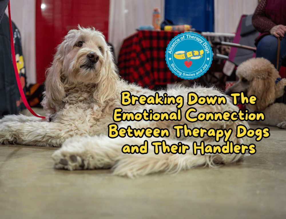 Why Therapy Dogs Are Important - Alliance of Therapy Dogs Inc.