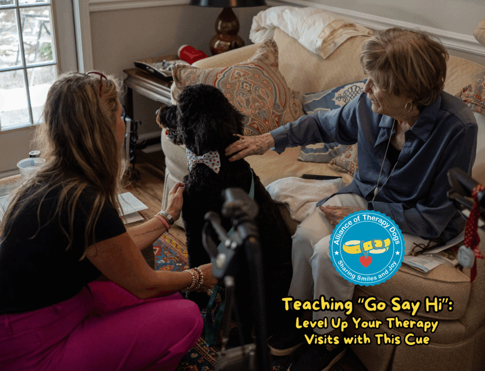 Why Therapy Dogs Are Important - Alliance of Therapy Dogs Inc.