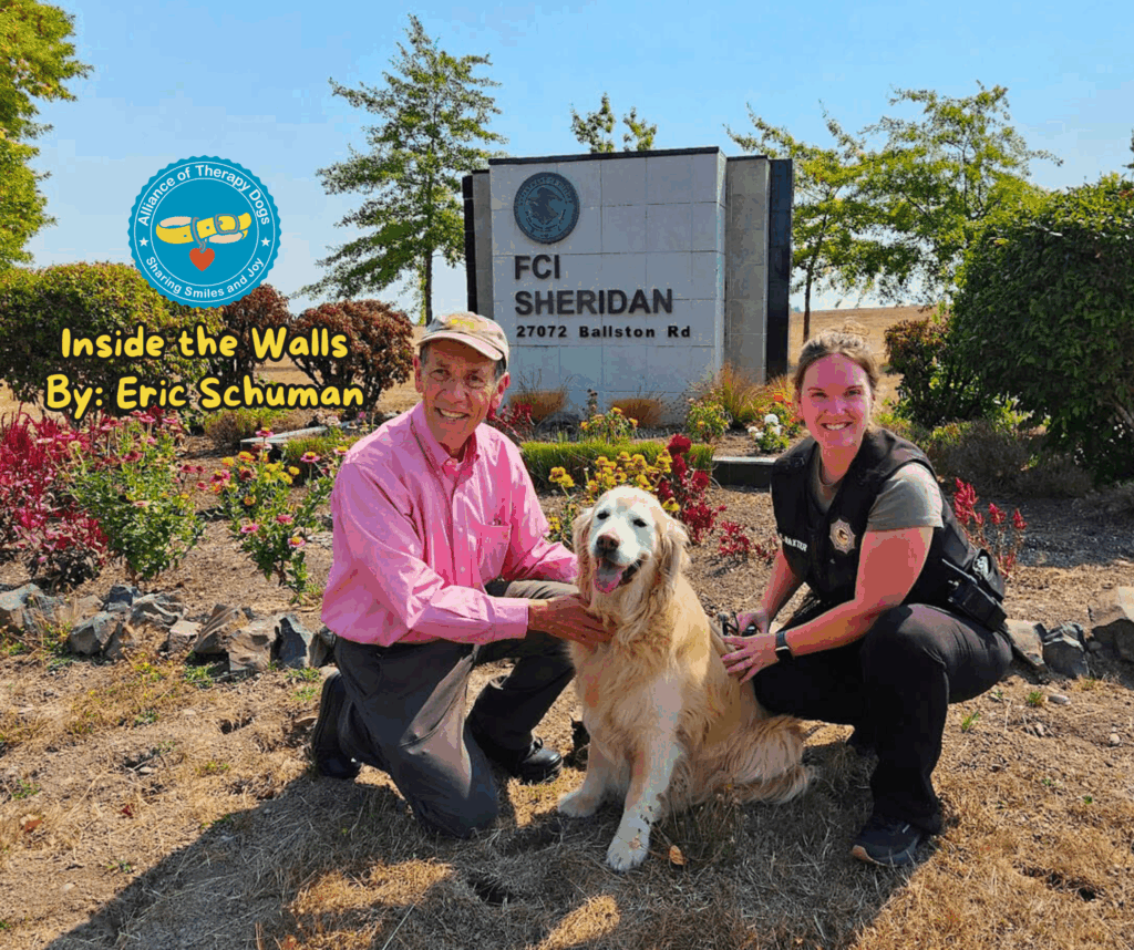 Therapy Dogs At College Campuses - Alliance of Therapy Dogs