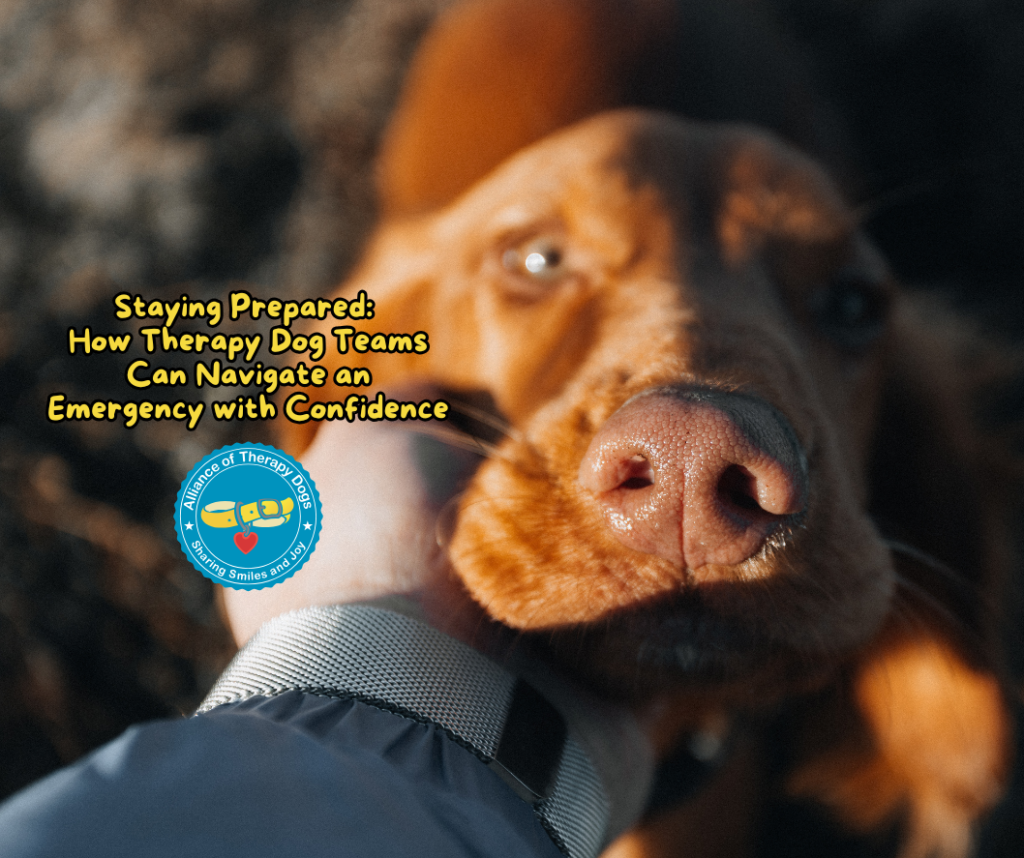 Therapy Dogs For First Responders - Alliance of Therapy Dogs