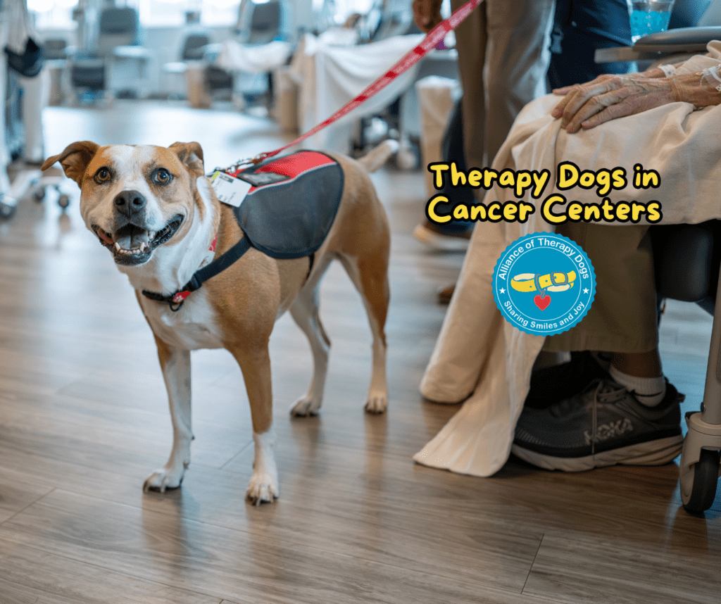 Therapy Dog Training - Alliance of Therapy Dogs